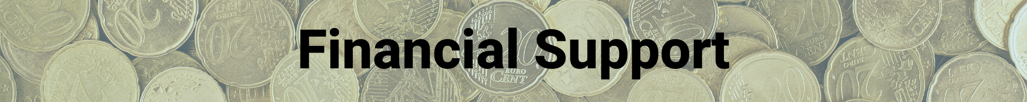 Financial Support... - Family Support Services